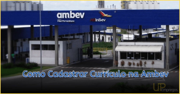 Como Cadastrar Currículo na Ambev: Passo a Passo e Dicas - Blog do Emprego